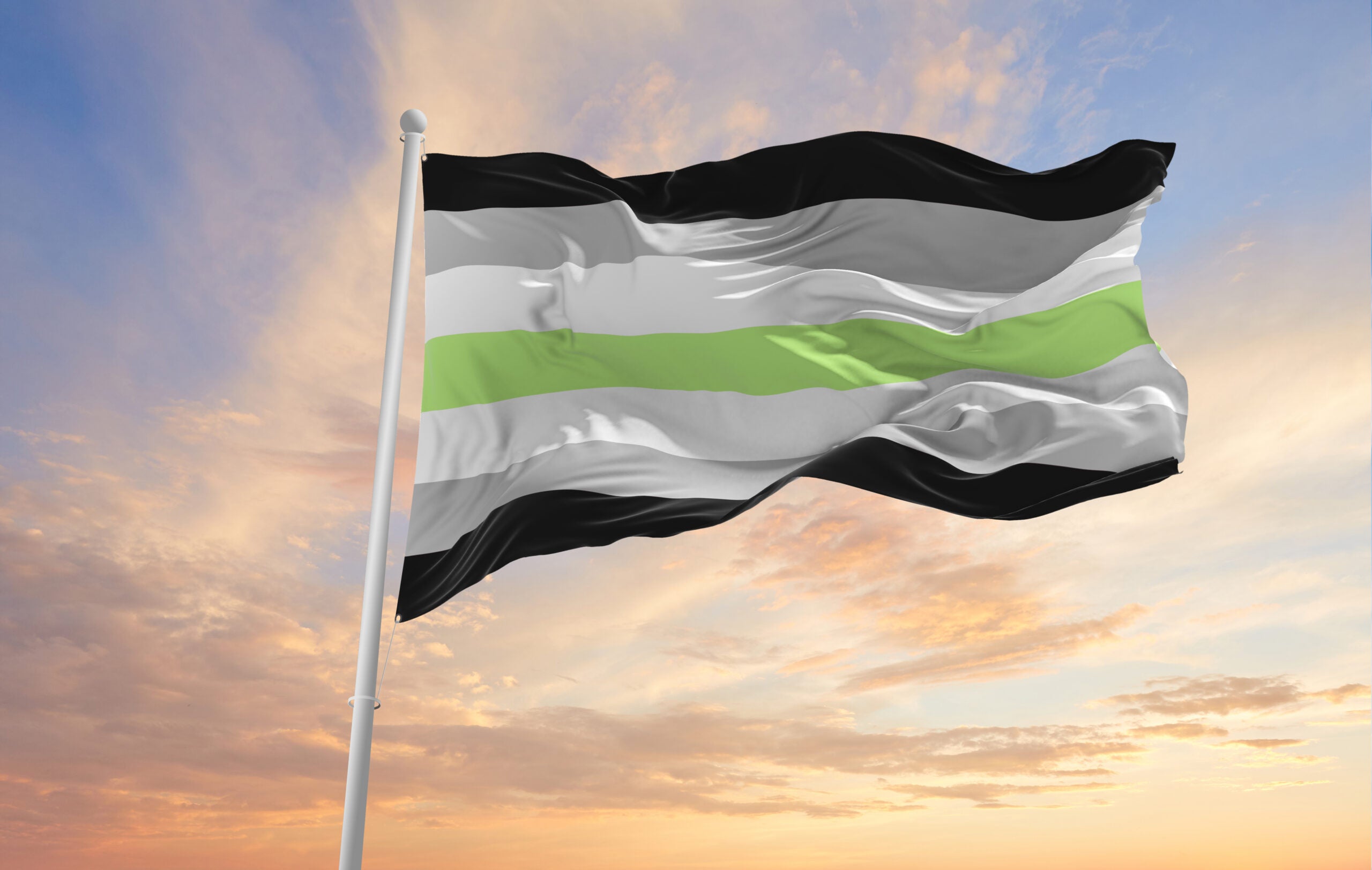 Agender Flag | Proud Lgbt 🏳️‍🌈