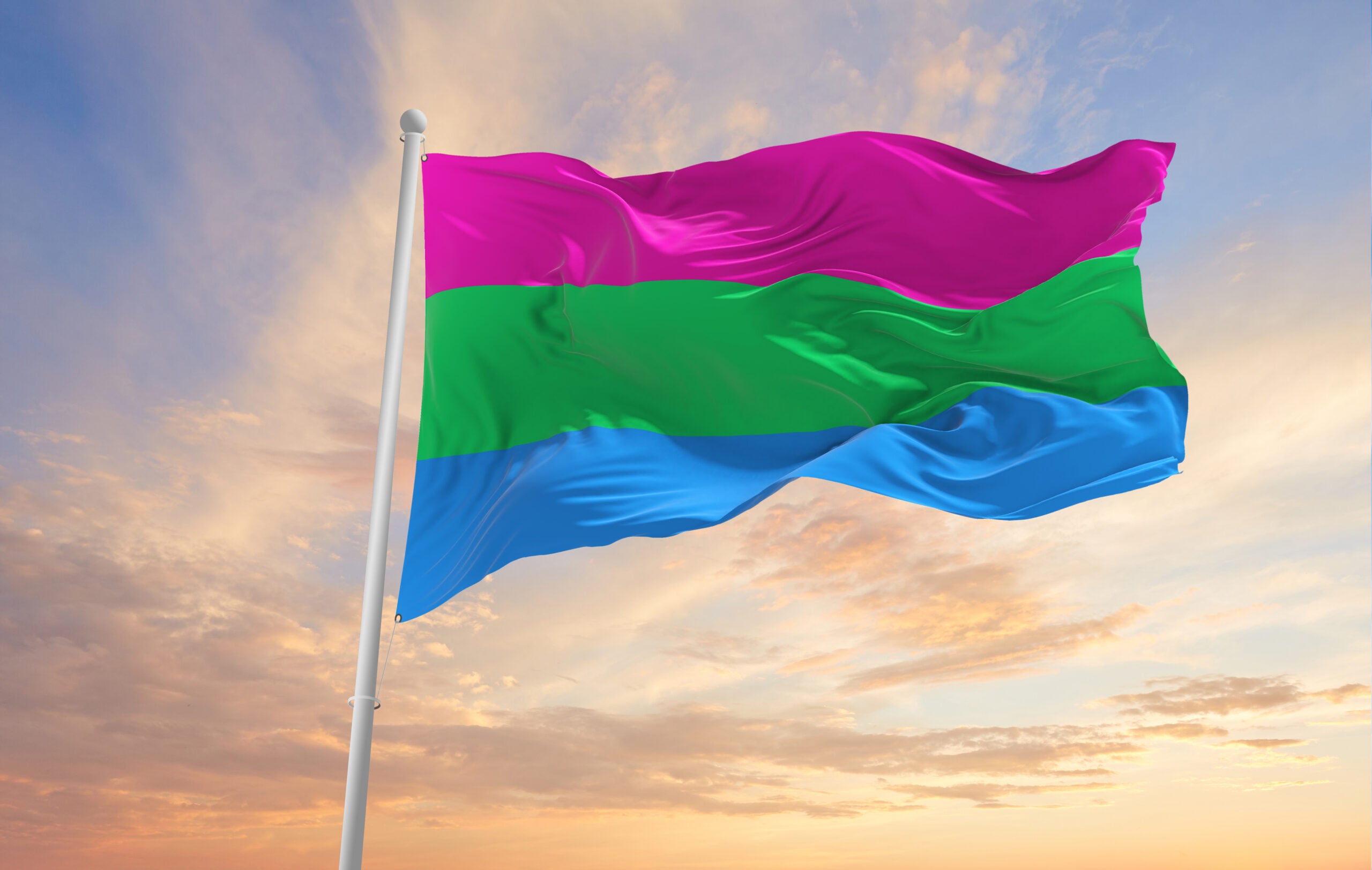 Polysexual Flag | Proud Lgbt 🏳️‍🌈