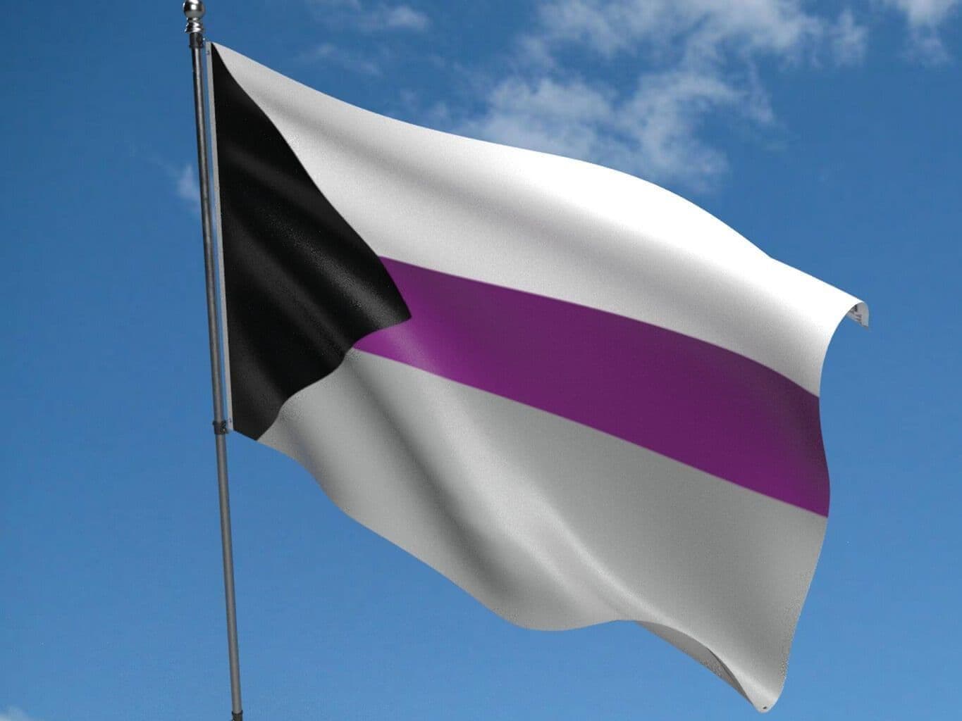 Demisexual Flag | Proud Lgbt 🏳️‍🌈