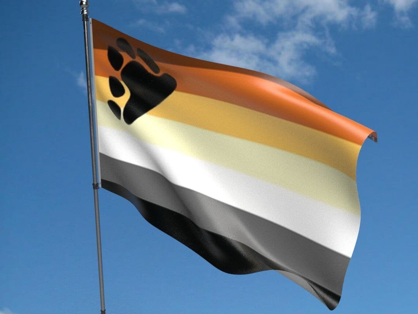 Gay Bear Flag | Proud Lgbt 🏳️‍🌈