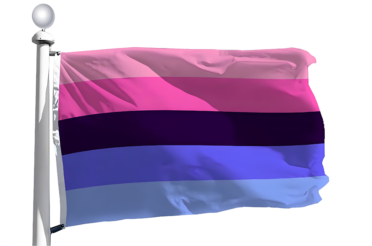 Omnisexual Flag | Proud Lgbt 🏳️‍🌈